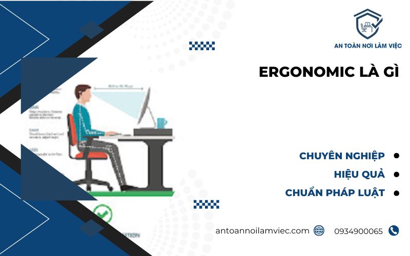 Ergonomic Là Gì Và Vì Sao Ngày Càng Quan Trọng?